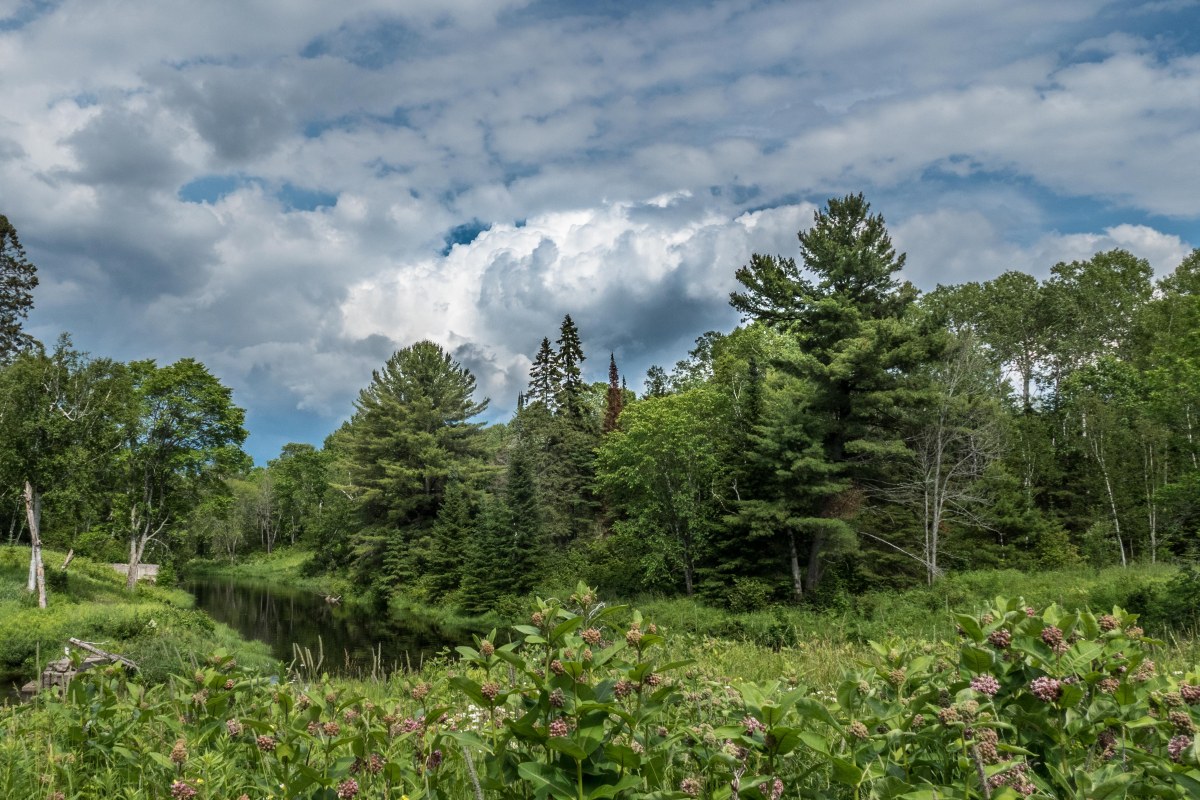 20170703 Part 3 of 3: Nature photography near Britt, Ontario | Brtthome ...